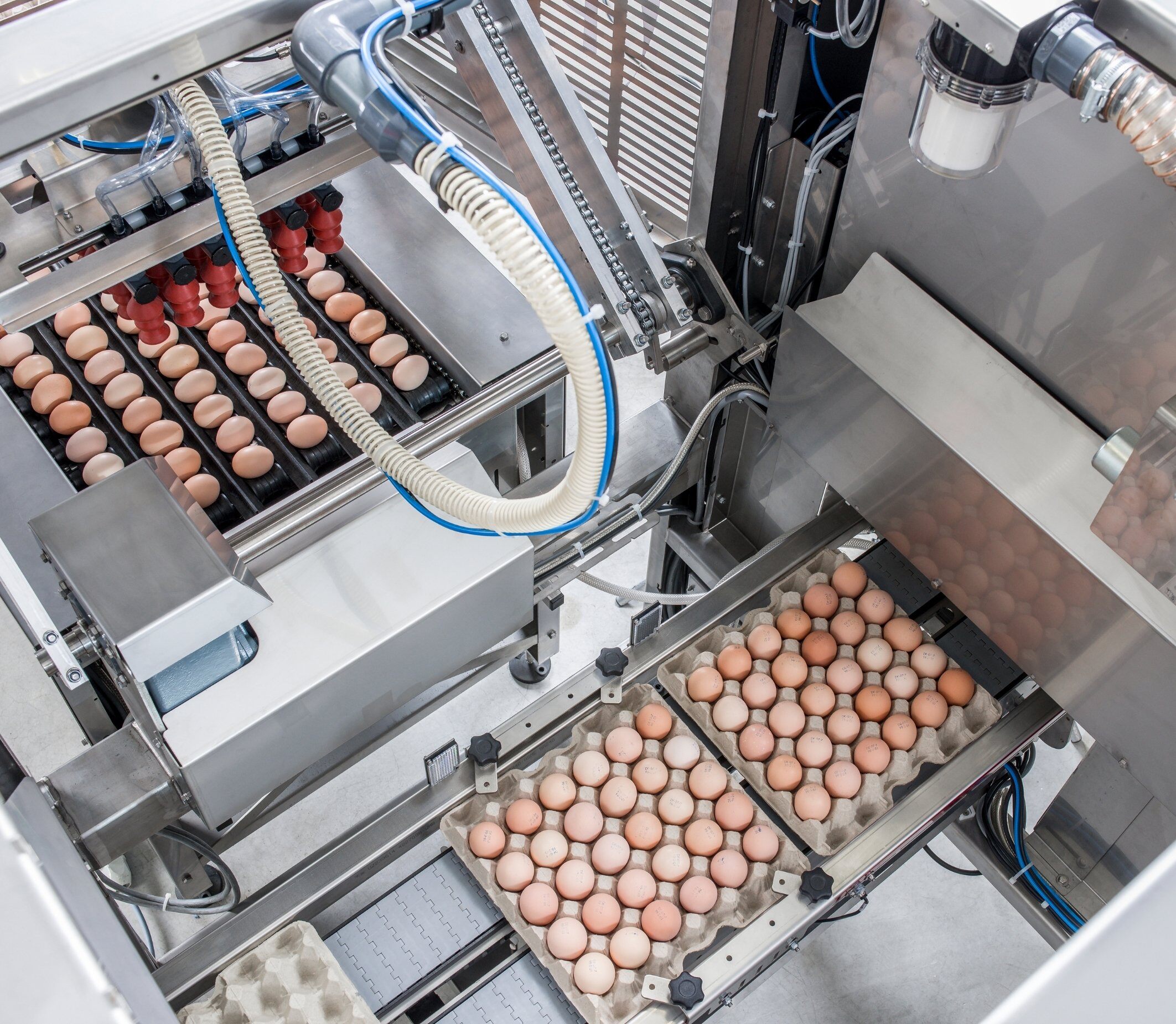 Hatchery - Vencomatic Group